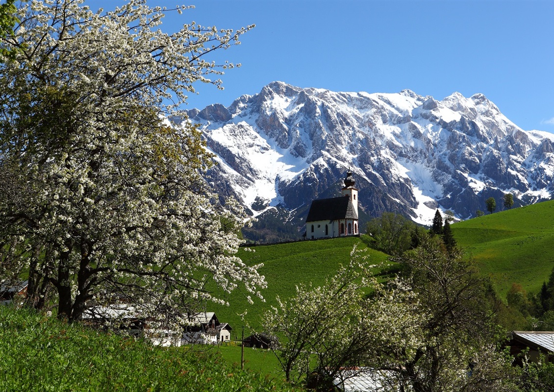 Vier Almen Wanderung in Dienten